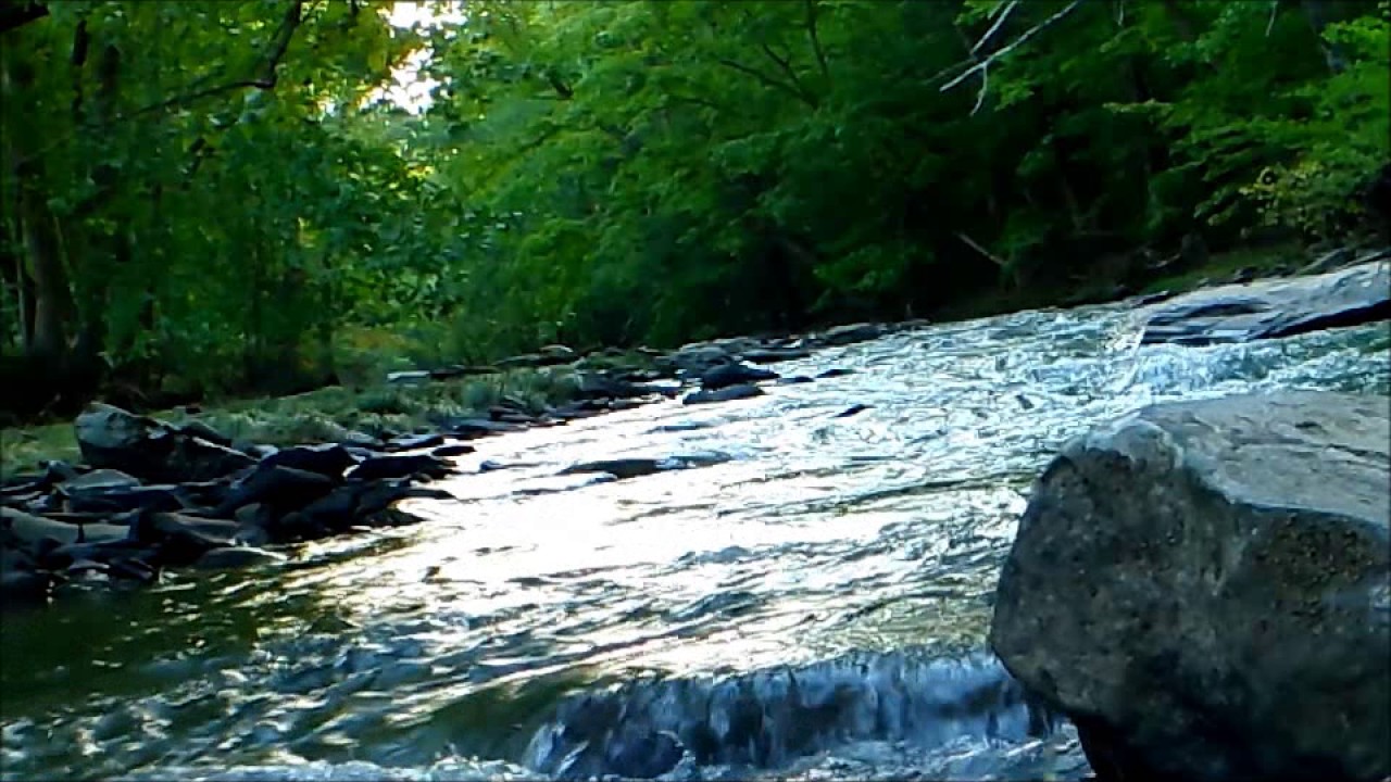 bY THE sTREAM - YouTube