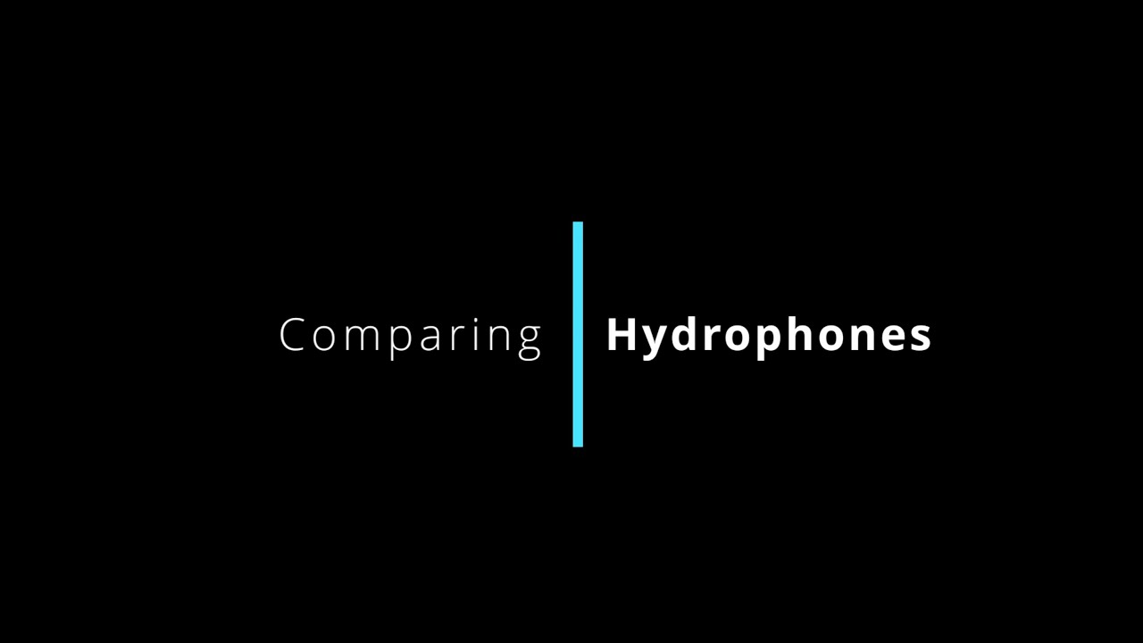 Comparing hydrophones. Part 1 - still, shallow water. - YouTube