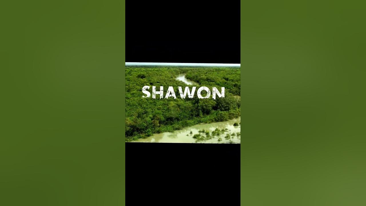name-style-youtube