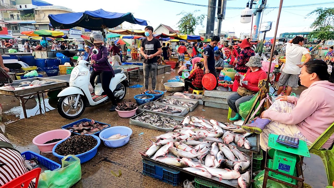 Amazing ! Cambodian Wholesale Fish Market Scenes - Khmer People's Daily ...