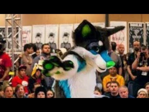 ¿Qué son los furros? Video explicación - YouTube