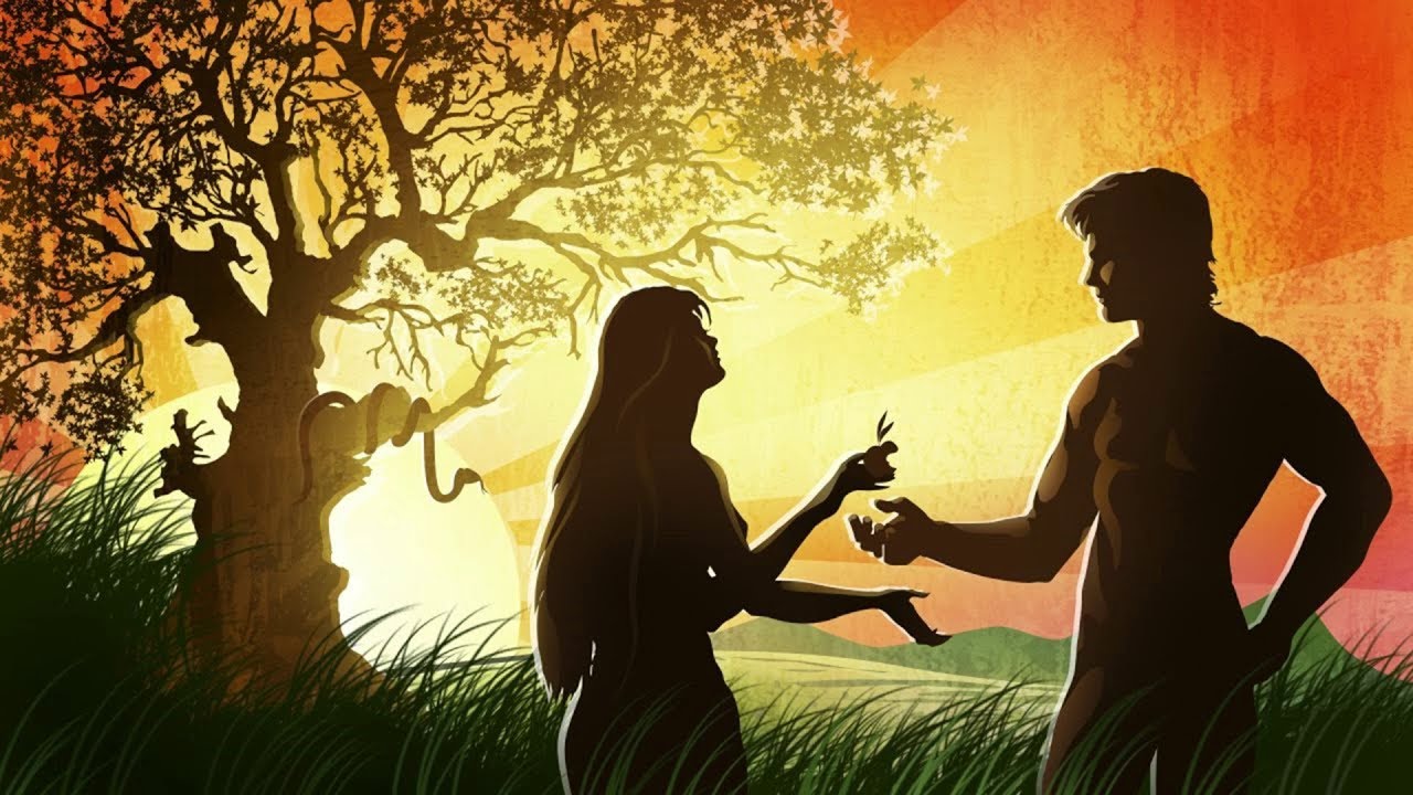 Genesis Overview: The Seed Lesson - Looking Back on Where We've Been ...