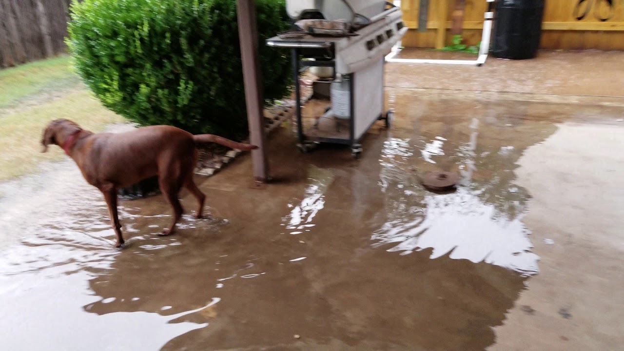 Rained out again - YouTube