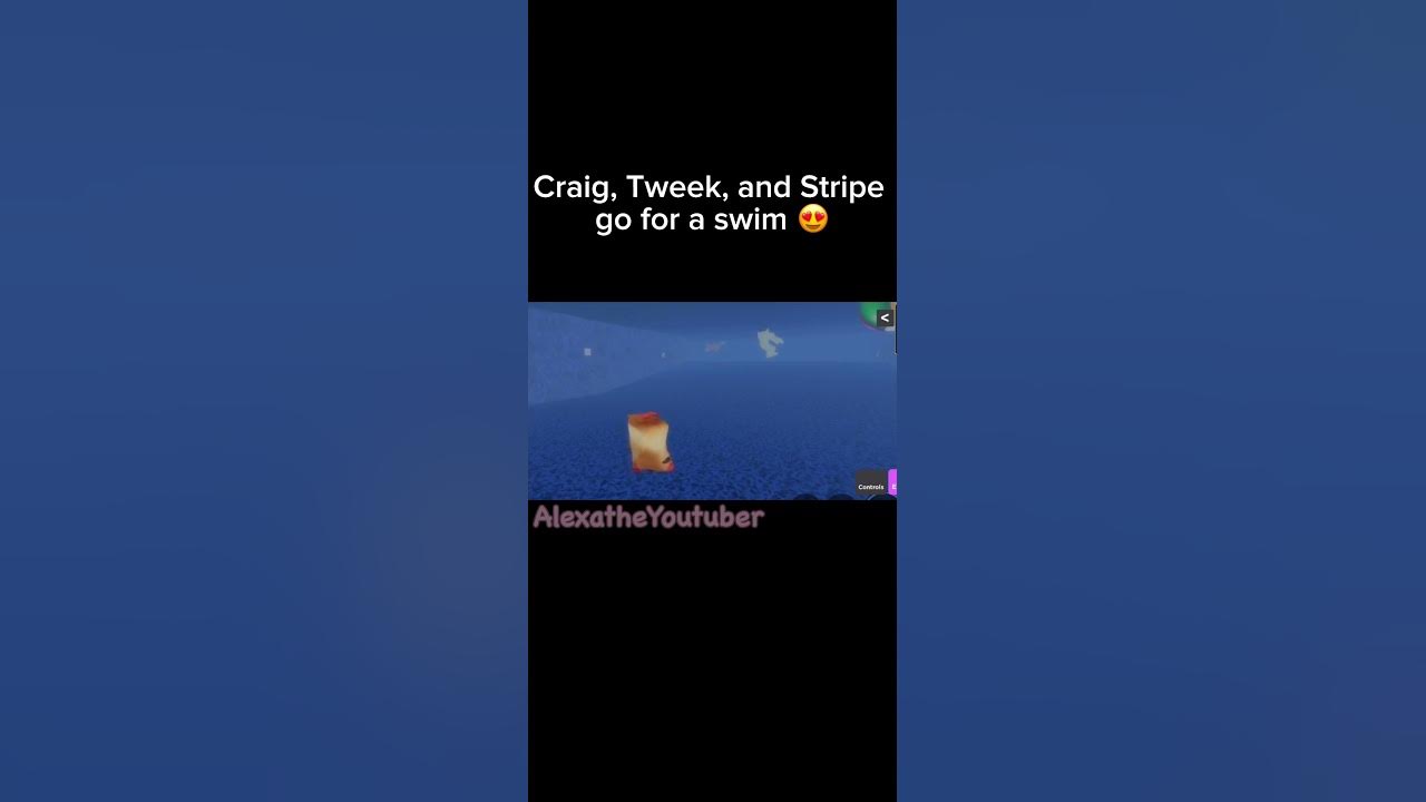 Swim Time π«Ά Spost Southpark Creek Craigtucker Tweektweak Shorts Roblox Meme Youtube