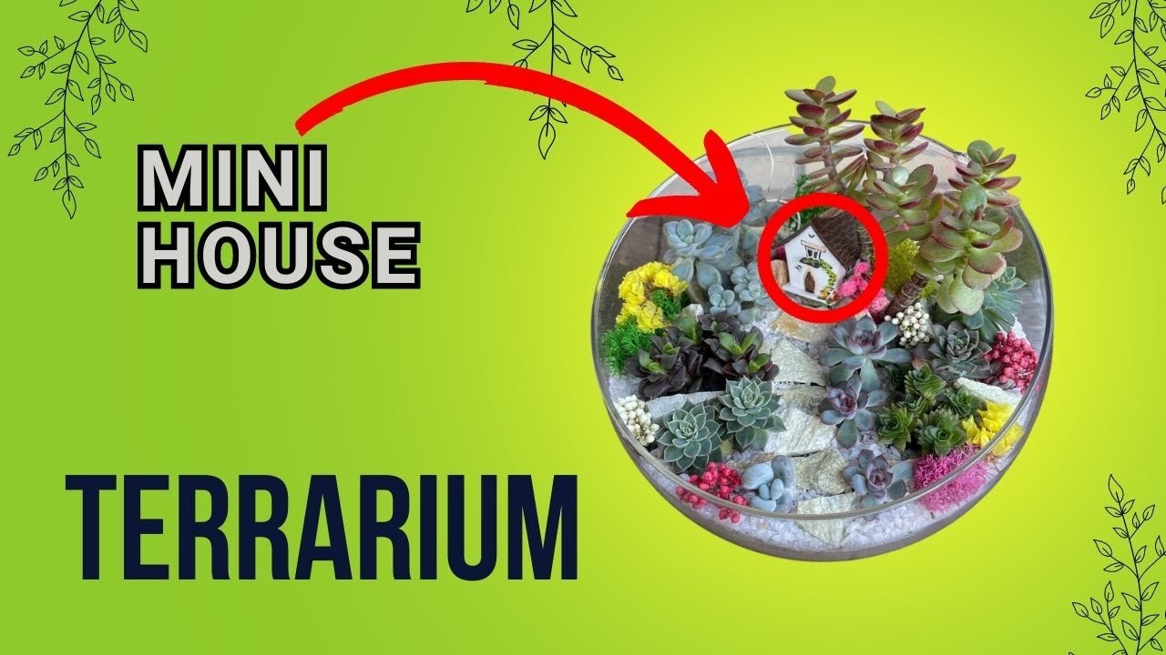 How To Make a Terrarium with House: Step by step Tutorial. - YouTube