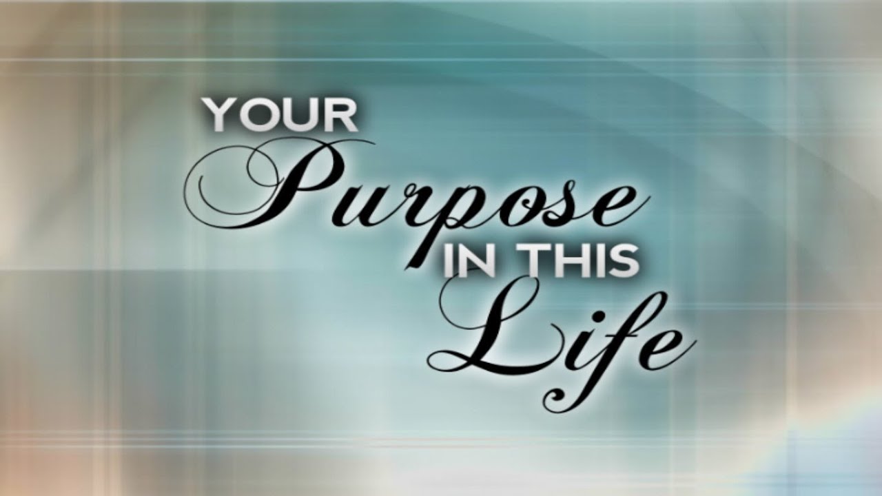 Your Purpose in This Life - Is there a greater purpose for your ...
