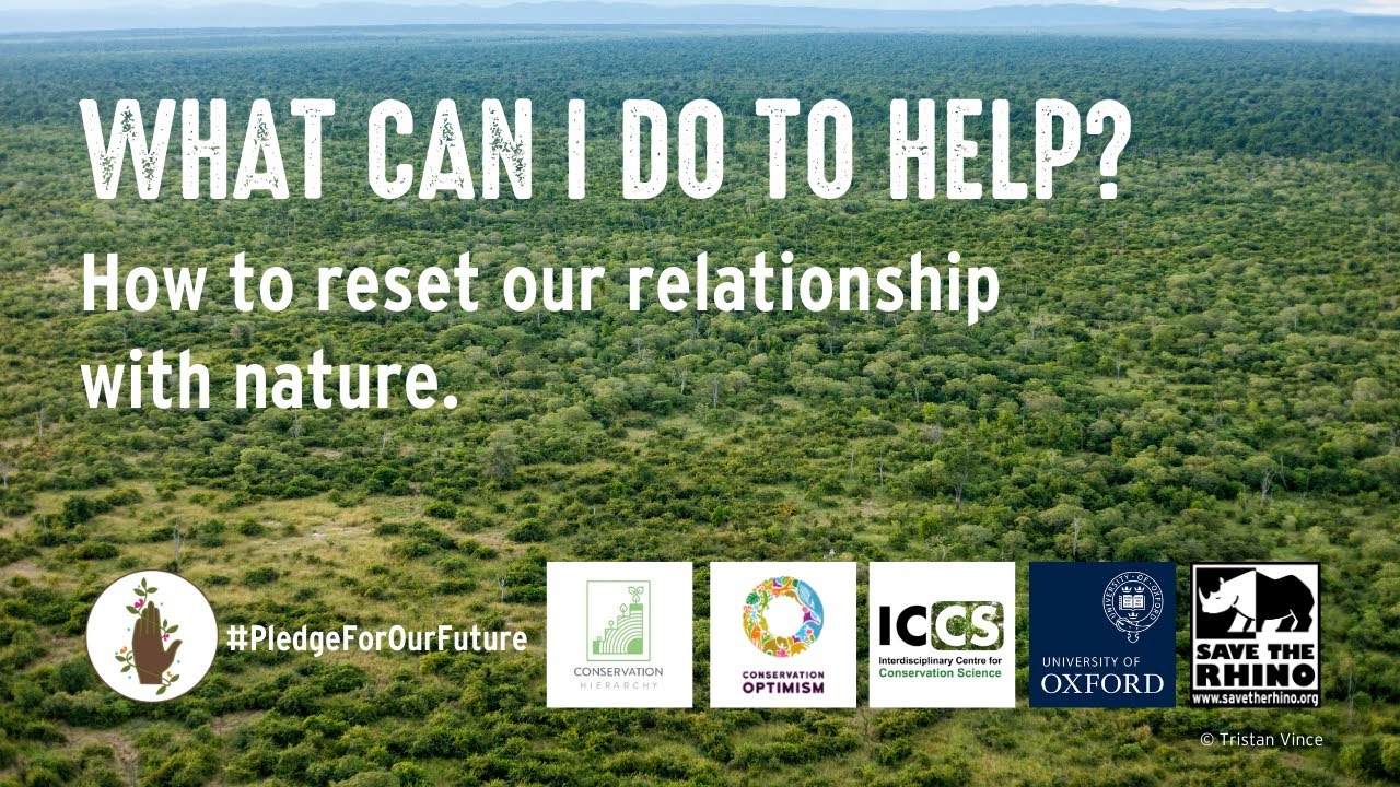 "What can I do to help?" How to reset our relationship with nature ...