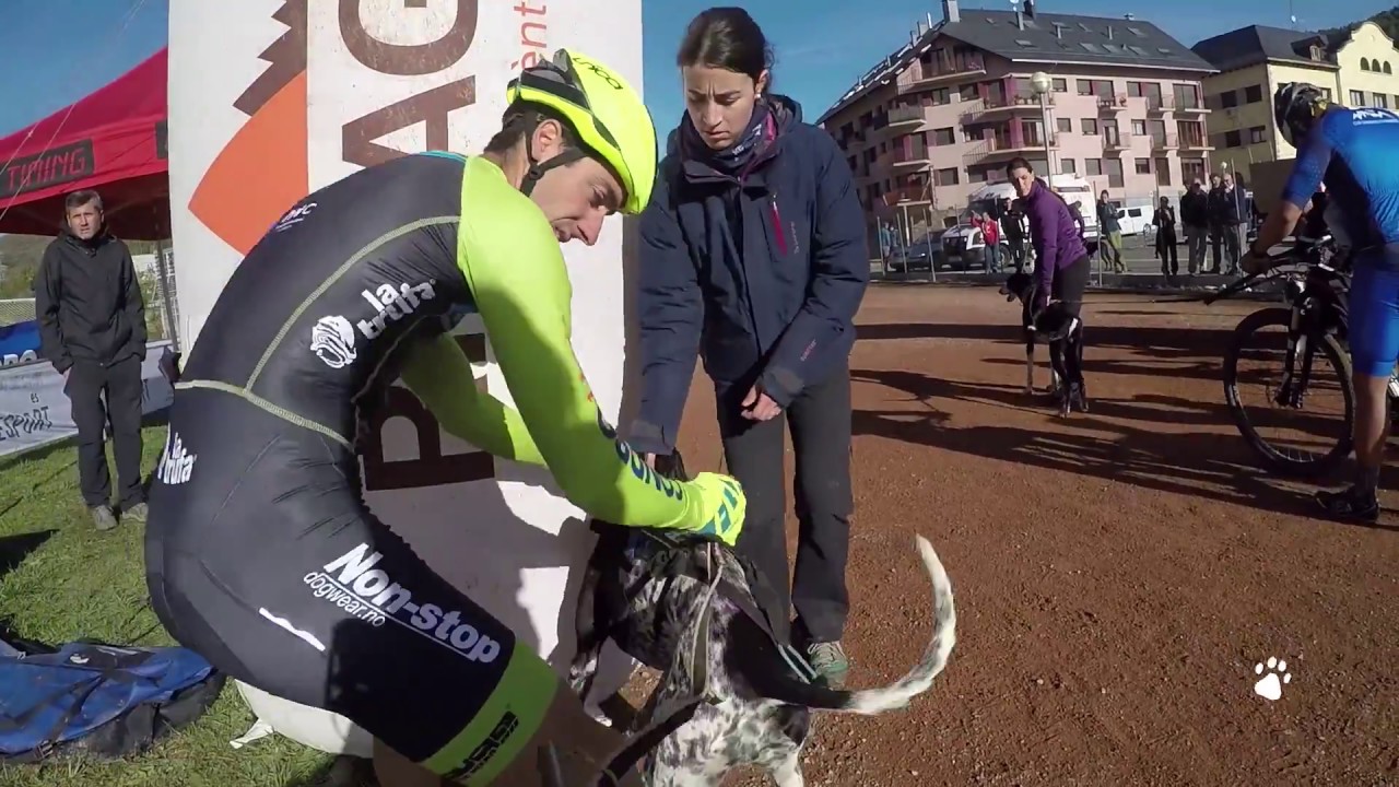 ¿Qué es un musher y dónde se origina el mushing? - YouTube