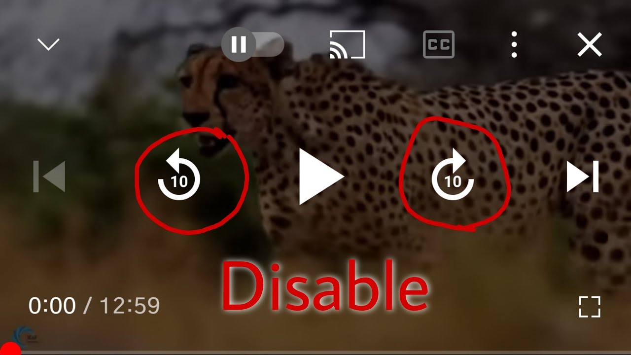 How To Remove Skip Button On Youtube 10 Seconds Skip Button Toptips Smartphones Youtube