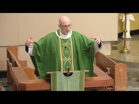 Vocation Is Greater Than Vacation | 15th O.T. | Fr Hamilton - YouTube