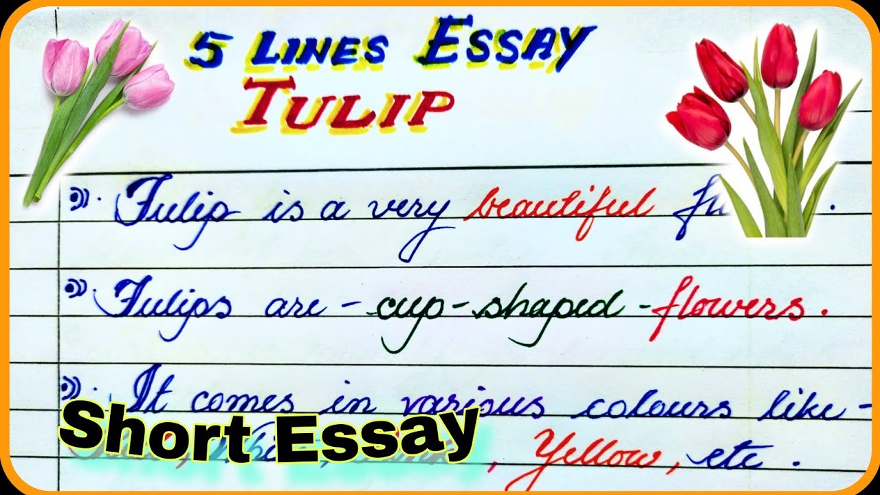 5 lines on tulip flower | Short Essay On Tulip Flower| About Tulip ...