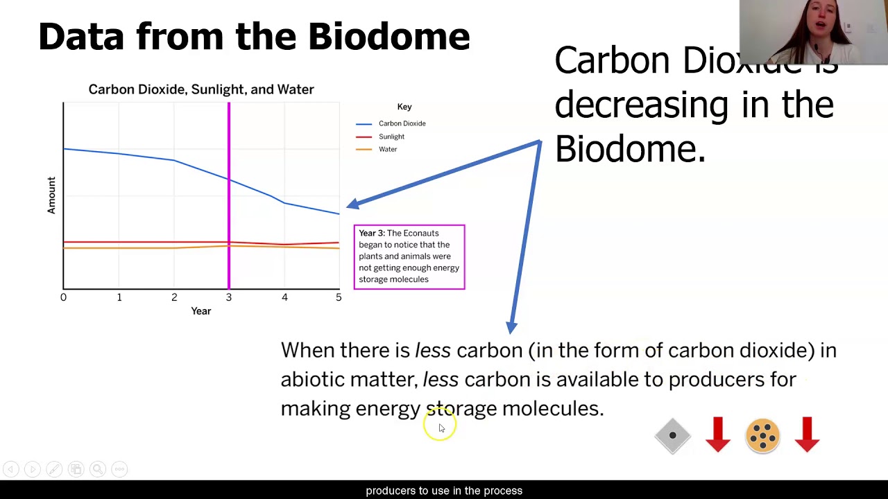 Grade 7 Matter And Energy In Ecosystems Lesson 3 Part 1 Of 4 YouTube grade-7-matter-and-energy-in-ecosystems-lesson-3-part-1-of-4-youtube