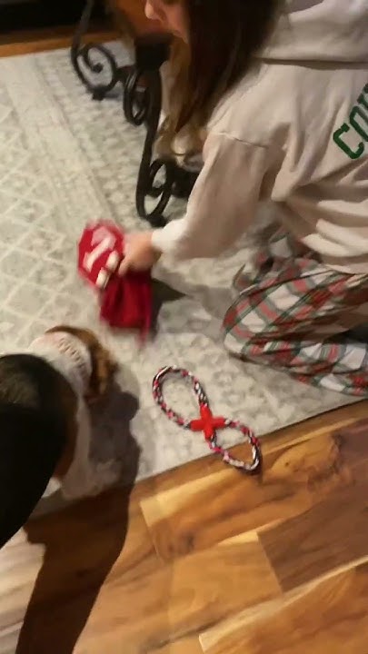 Lizzy’s Christmas stocking 2022 - YouTube