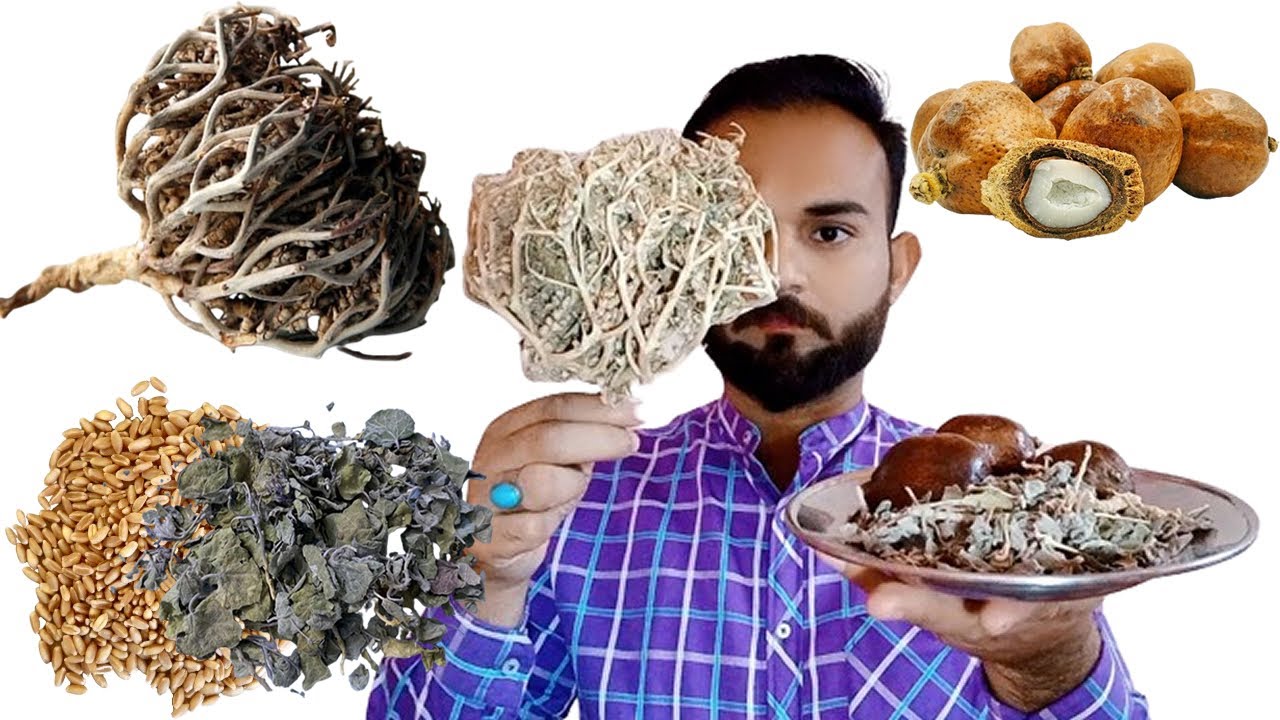 Nabi Booti | Muhmmad Booti | Adam Booti | Maryum Booti | Wheat (Mecca ...