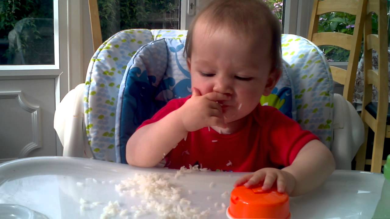 Toby having curry n rice....minus the curry..:) - YouTube