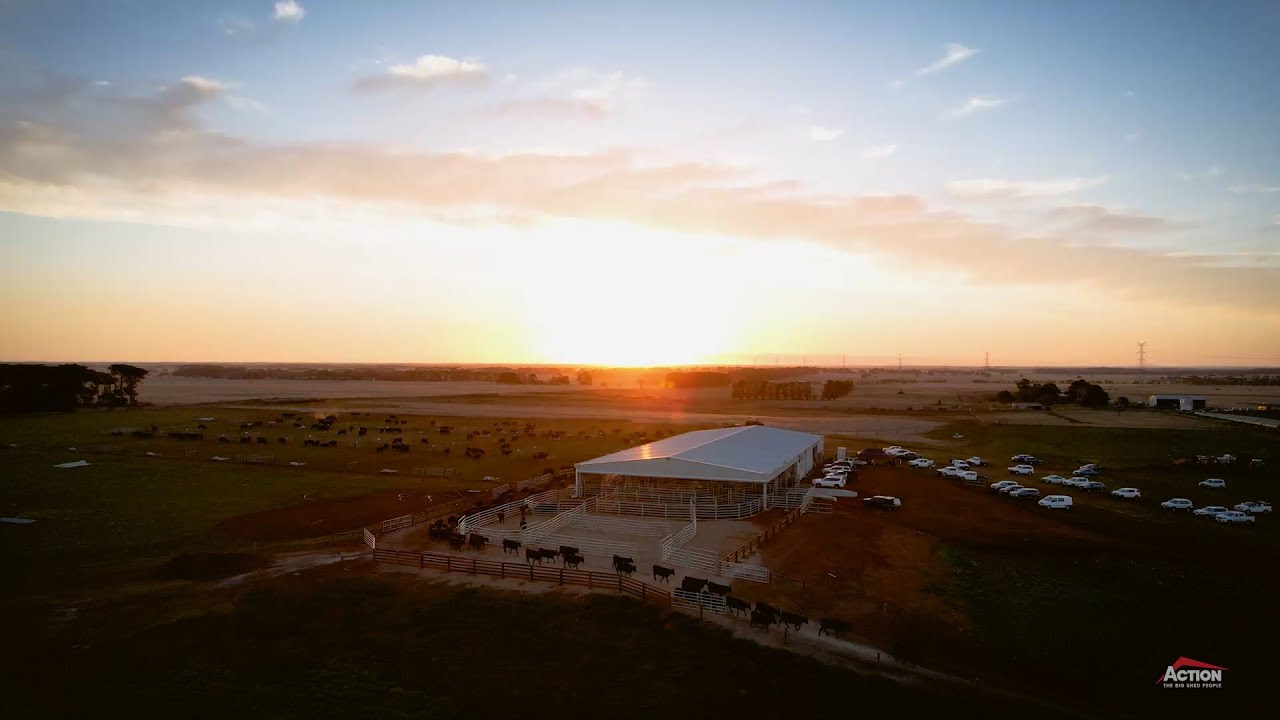 30 Years of Banquet Angus 🐮 Bull Sale Shed & Covered Cattle Yards - YouTube