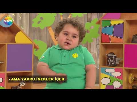 Efe Koçyiğit güldüren diyaloğlar