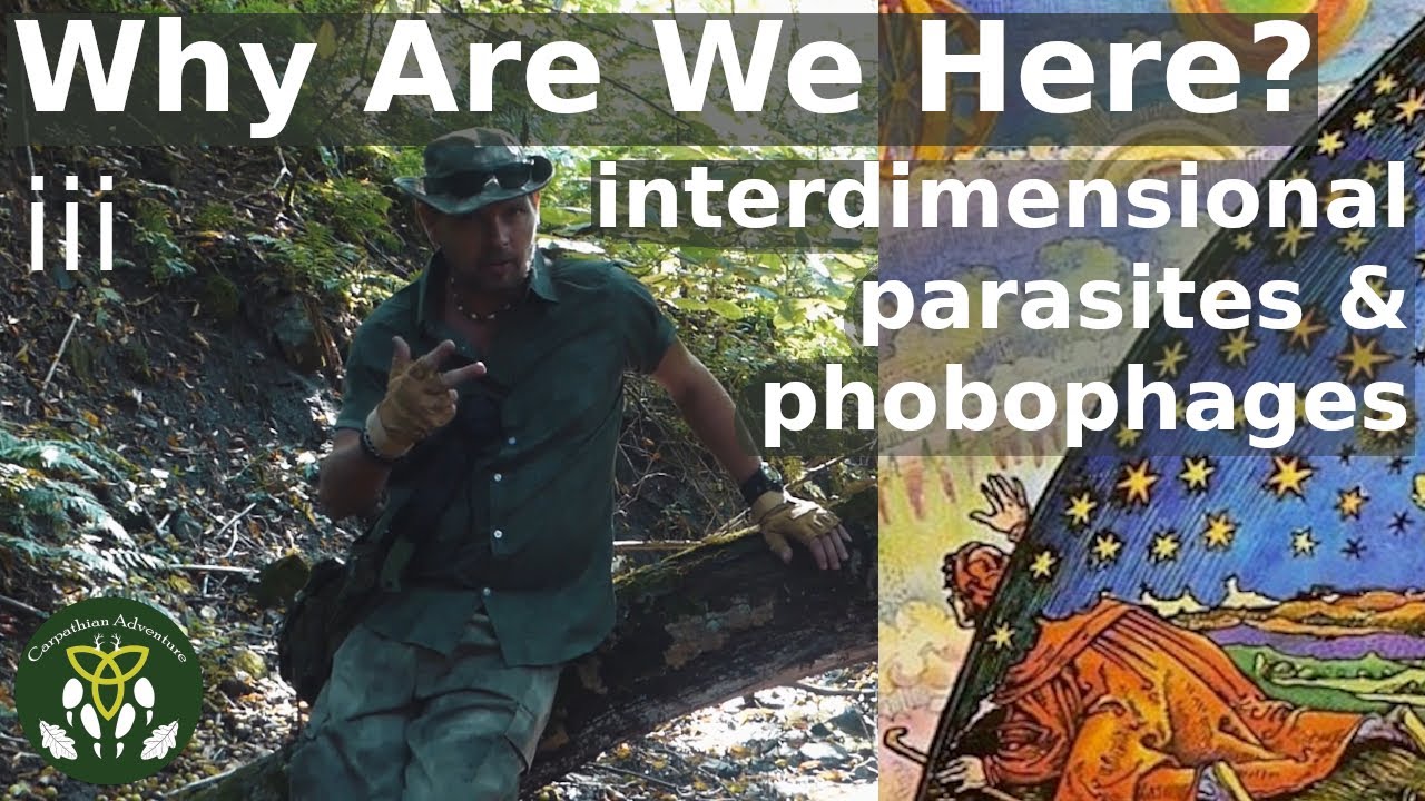 Why Are We Here? Scary Theory 3 - Phobophages, Interdimensional ...