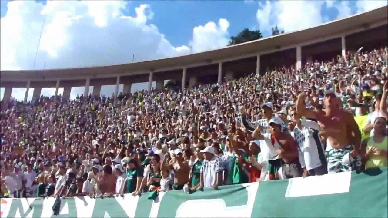 Torcidas Brasileiras -- Os Melhores Cantos e Gritos em HD / Brazilian ...