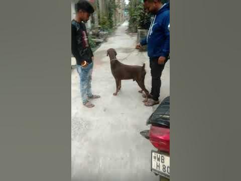 February 18, 2023 - YouTube