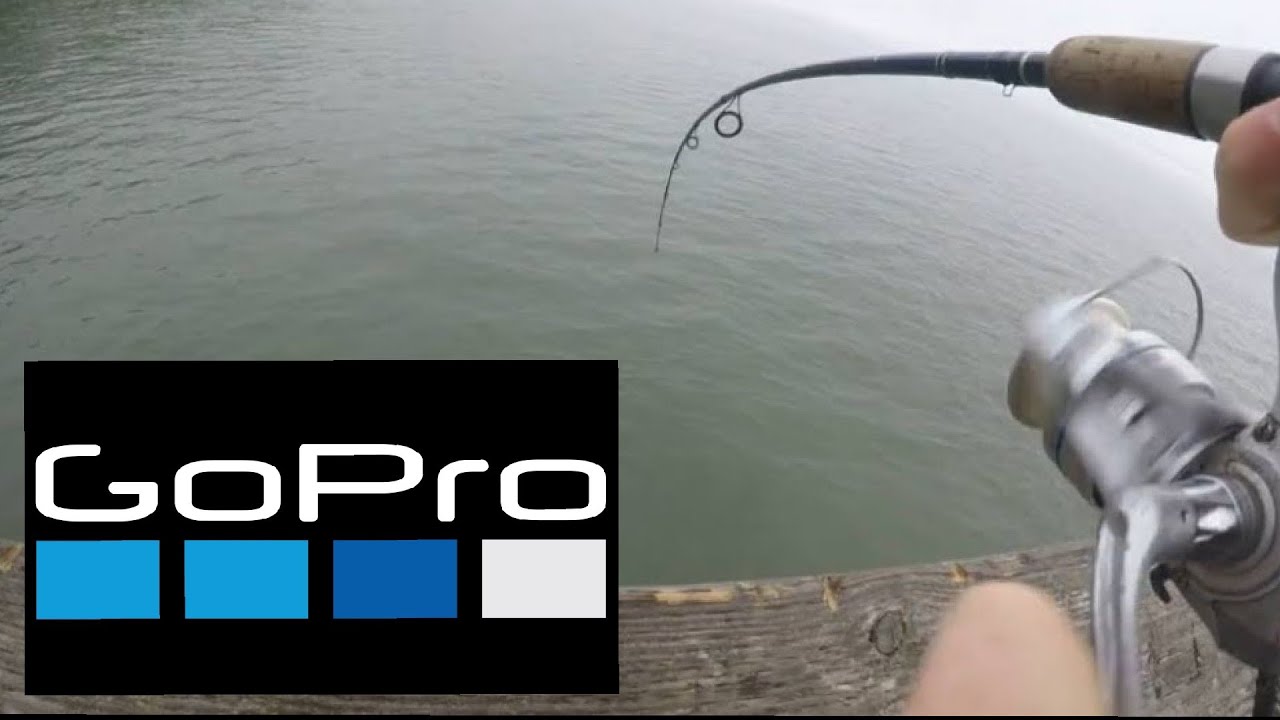 We put a GOPRO in the OCEAN! (Awesome Footage!) - YouTube