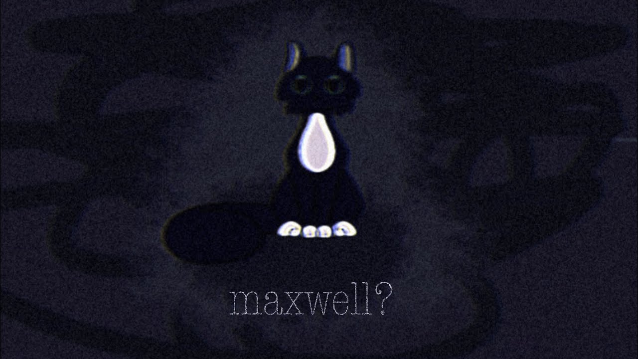Maxwell the cat? - YouTube