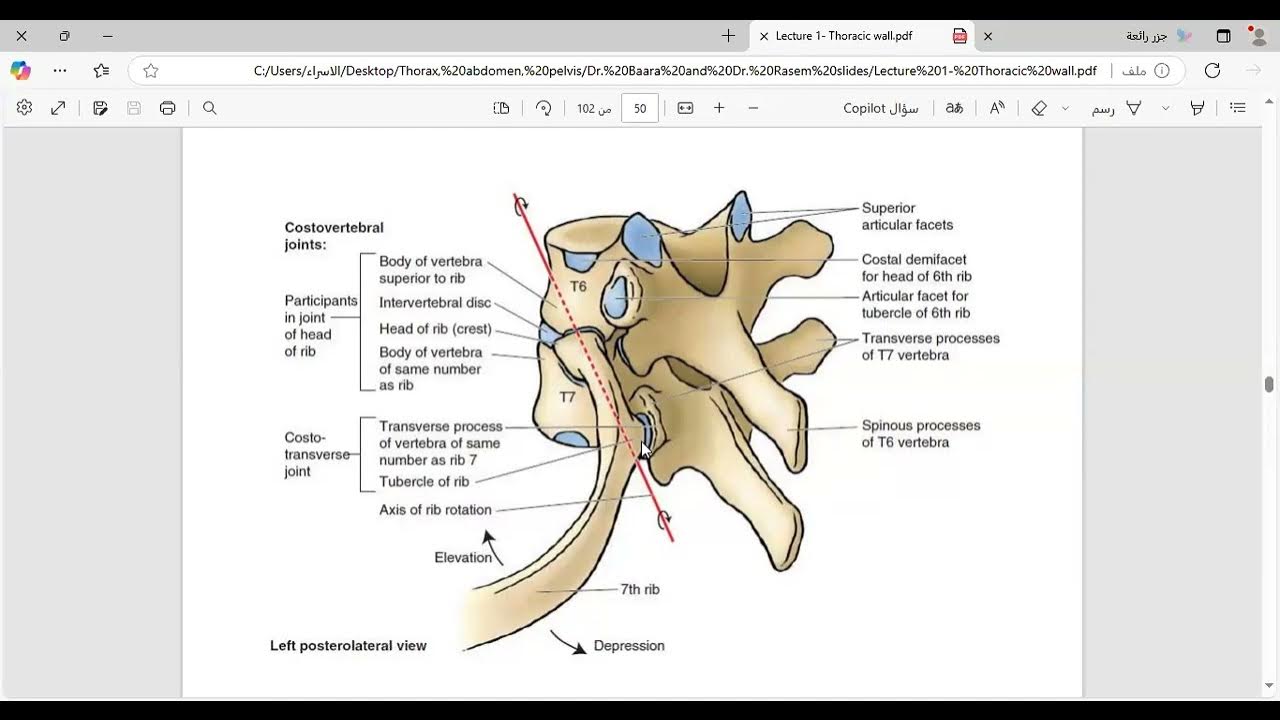 Lecture 1 , part 2 - YouTube