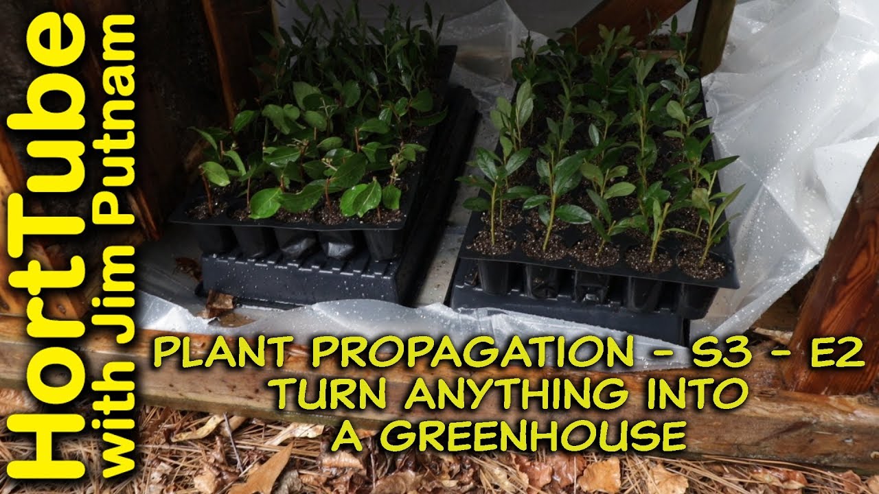 Propagation - S3E2 - Make A Greenhouse Out Of Anything - YouTube