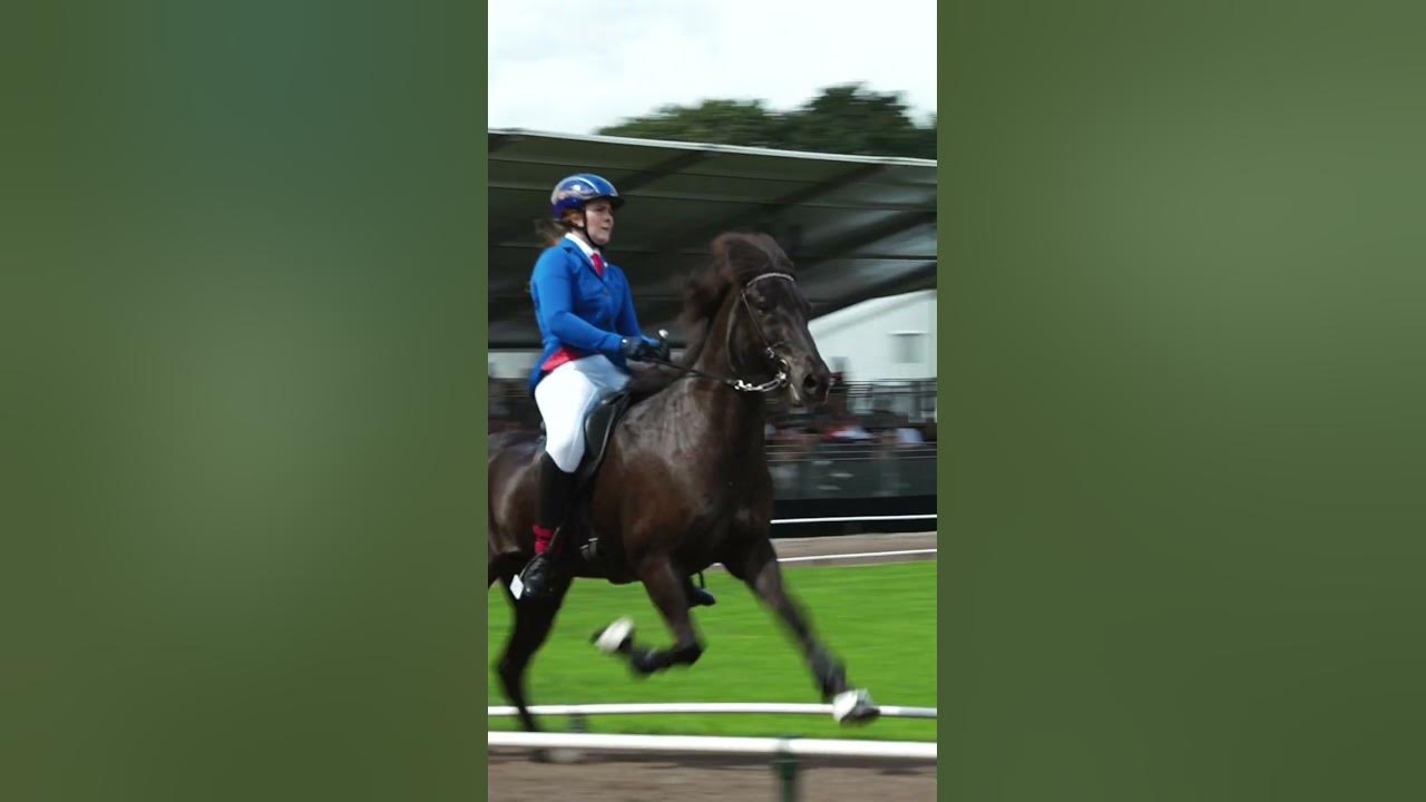 EQUES - Sara Sigurbjörnsdóttir and Flóki frá Oddhóli WC2023 - YouTube