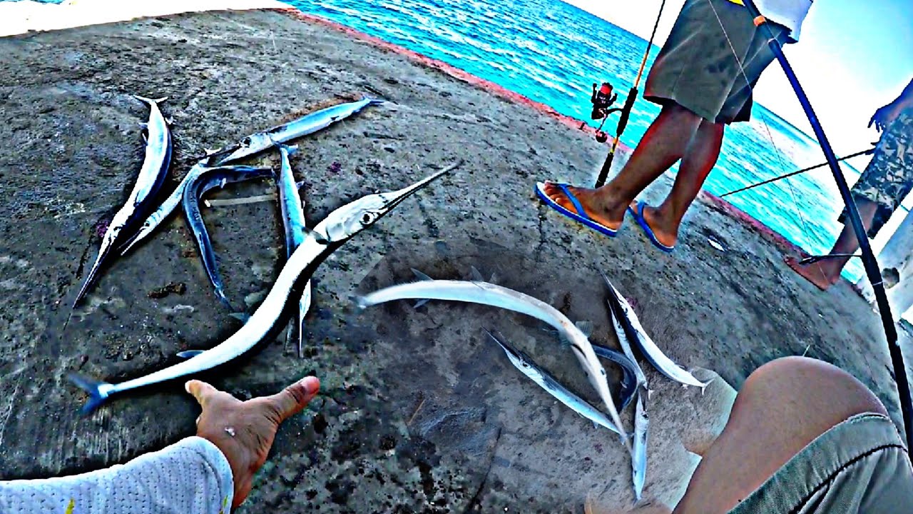 BUTUH SKILL MANCING IKAN INI.. PERJALAN MANCING DI SIANG HARI MEMANG ...