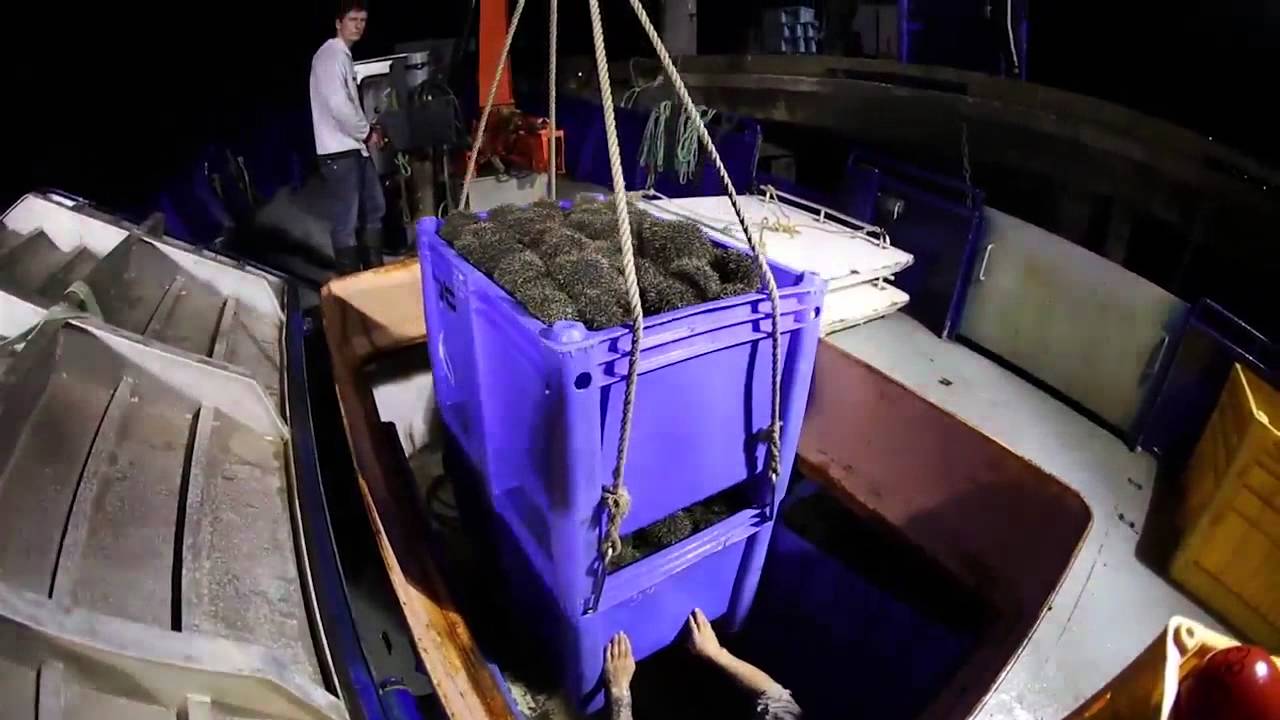 Cando Fishing Bluff New Zealand - YouTube