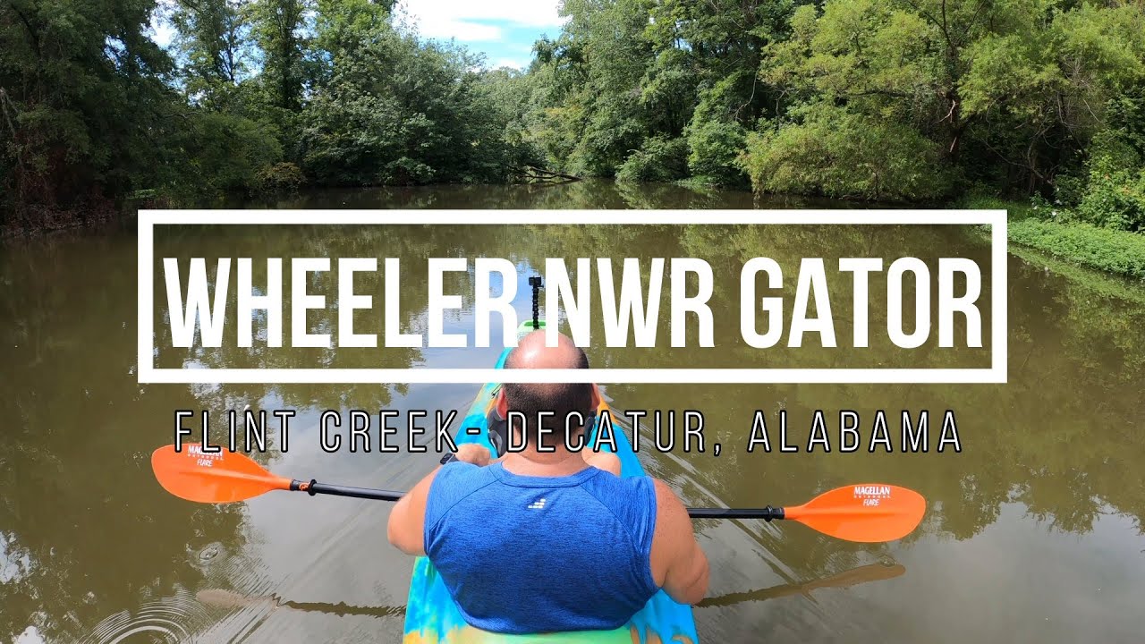 Lil' Gator - WNWR - YouTube