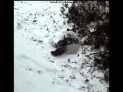 Kışın Okula Giderken Ben