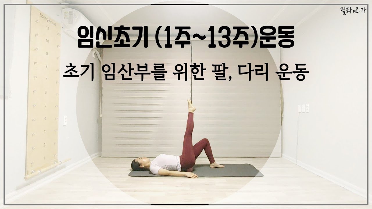 필라n요가 임신부터 13주차 까지 임신초기 임산부를 위한 프로그램 팔 다리가 가벼워지는 동작 임산부 필라테스