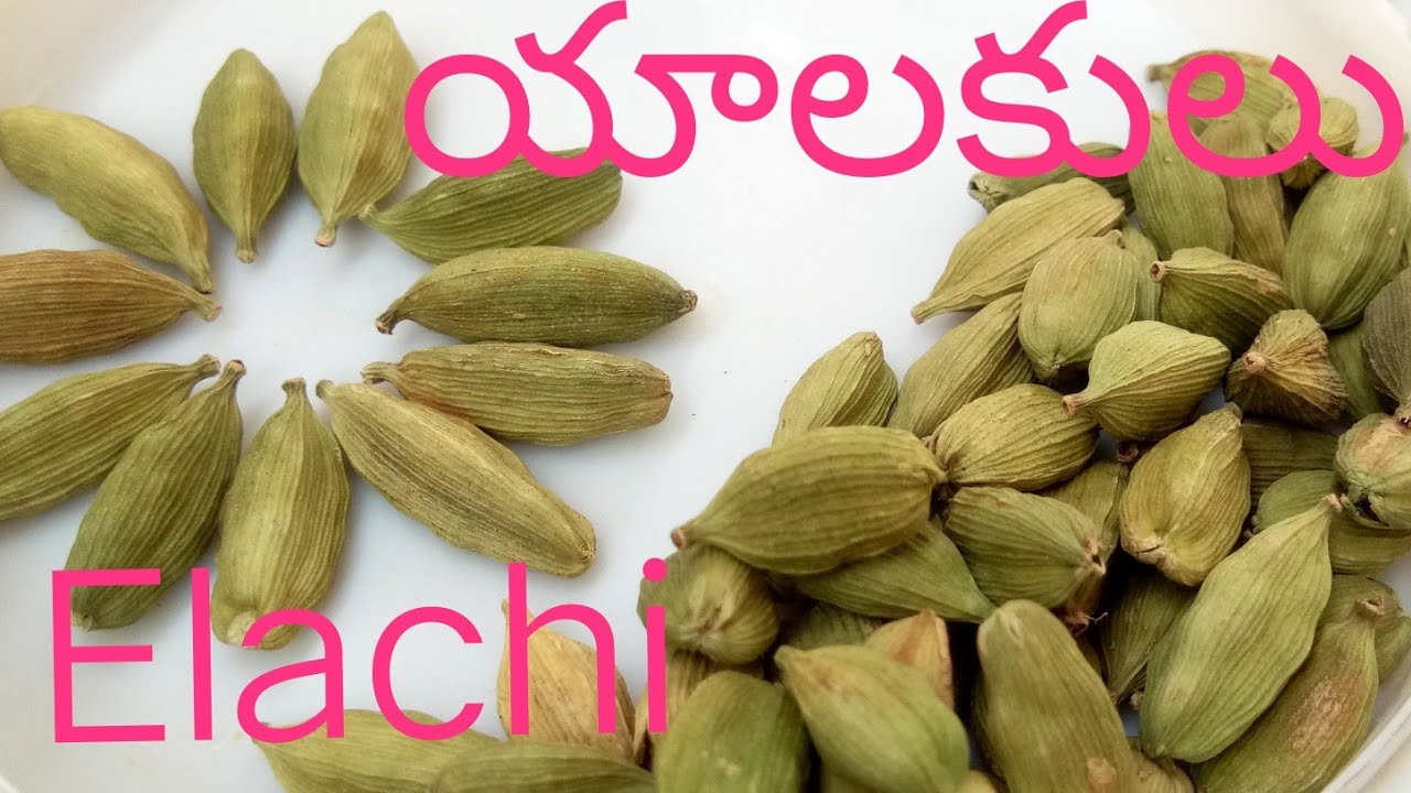 యాలకలలో దాగిన అద్భుత రహష్యాలు/Elaichi Uses/Cardamom Health Benefits ...