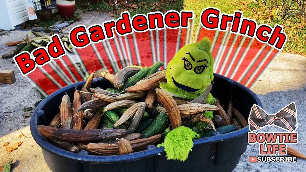 Grinch's Worst Gardening Mistakes! Grinch's Gardening Fails: A Comedy ...