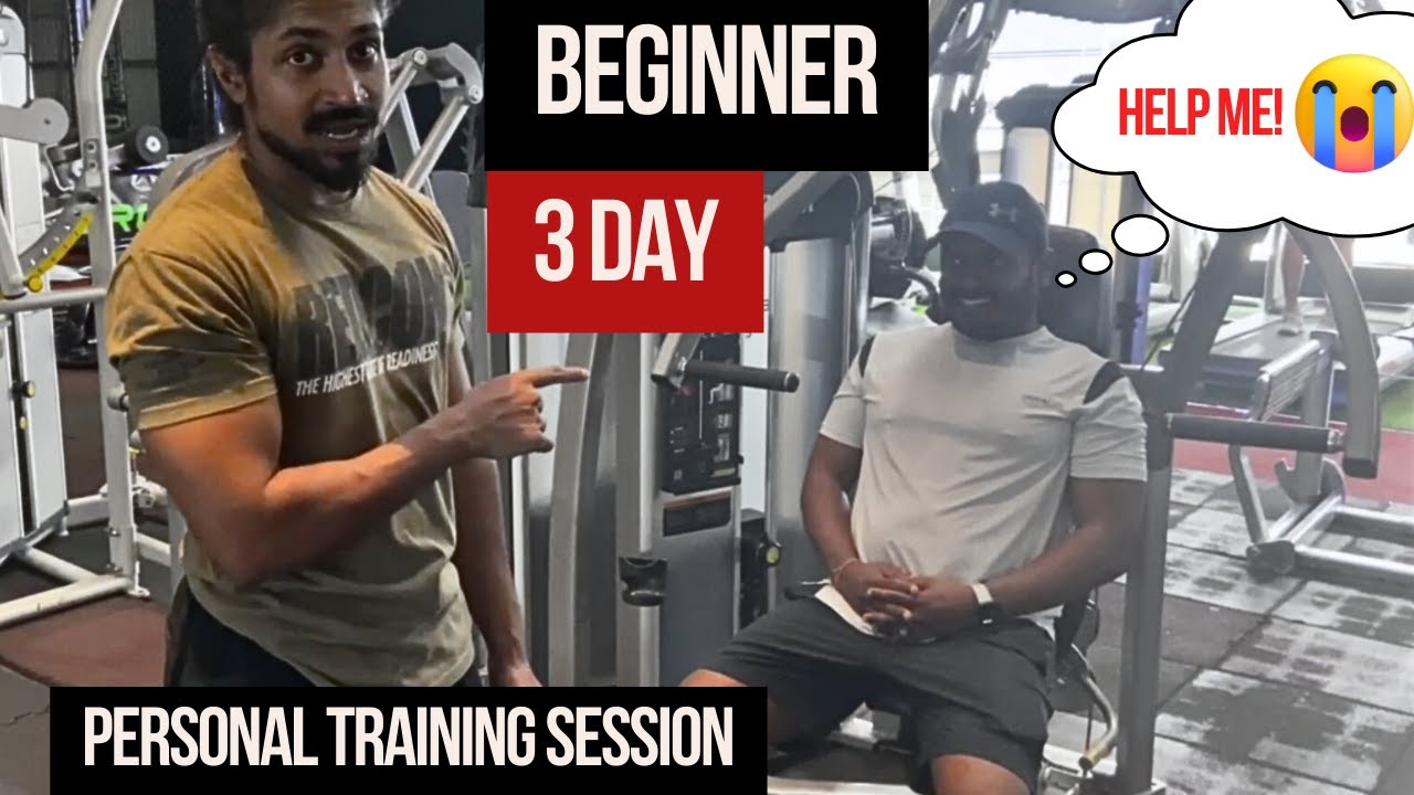 Full body muscle building gym workout for beginners. - YouTube