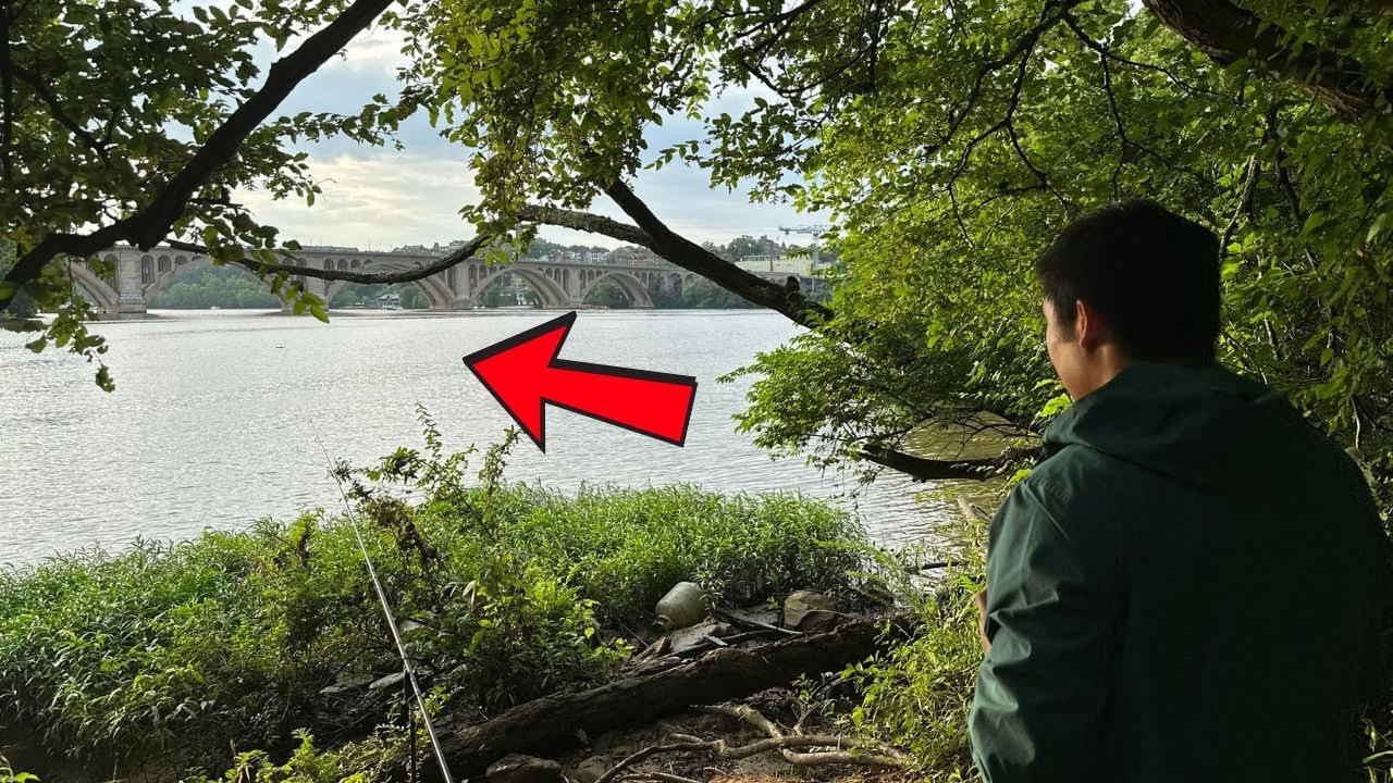 If You Have Cabin Fever, Watch This Video! - Summer Catfishing from an ...