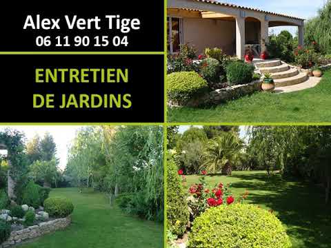 Alex Vert Tige - YouTube