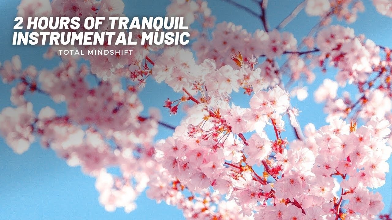 2 Hours of Tranquil Instrumental Music ~ Soothing Piano Music | Total Mindshift - YouTube