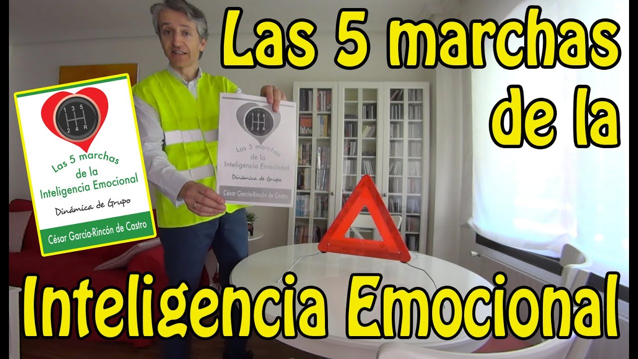 Las 5 marchas de la Inteligencia Emocional: dinámica para aprender a ...
