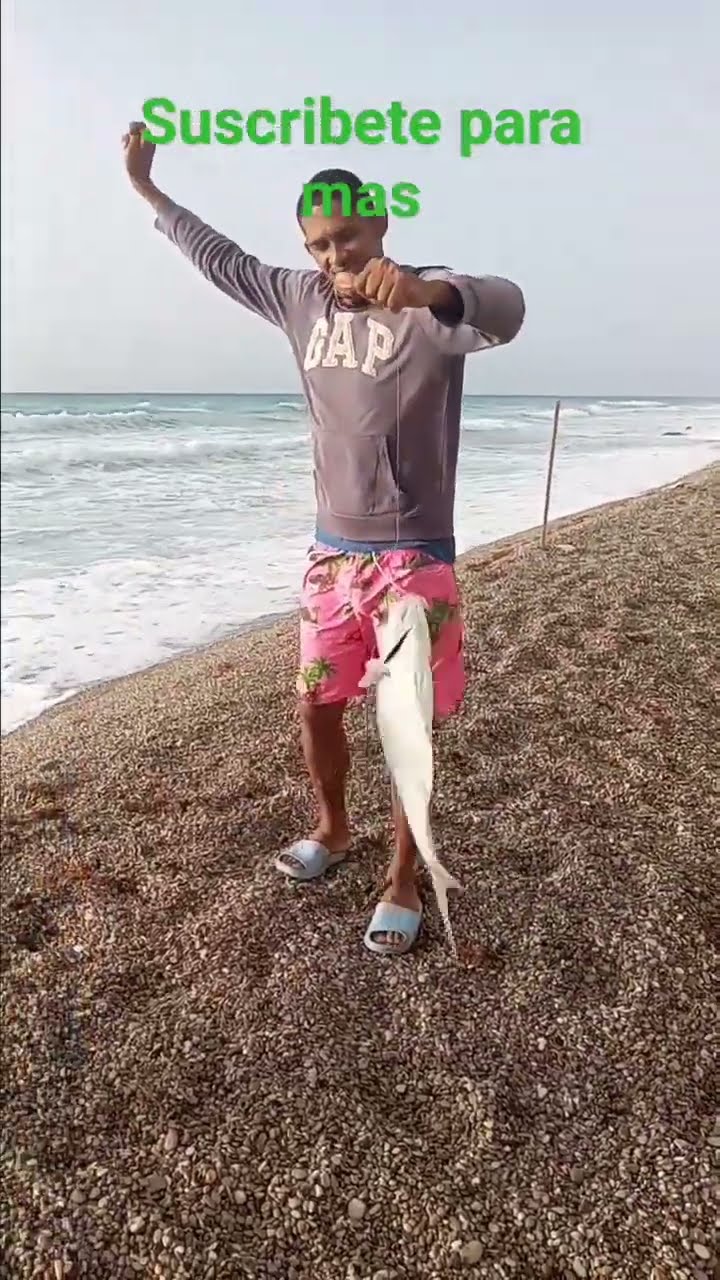 excelente pesca de Palometa, japuta, zapatero o castañeta, pampano ect ...