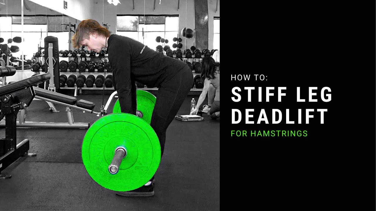 Stiff Leg Deadlift: Long Position Hamstring Exercise - YouTube