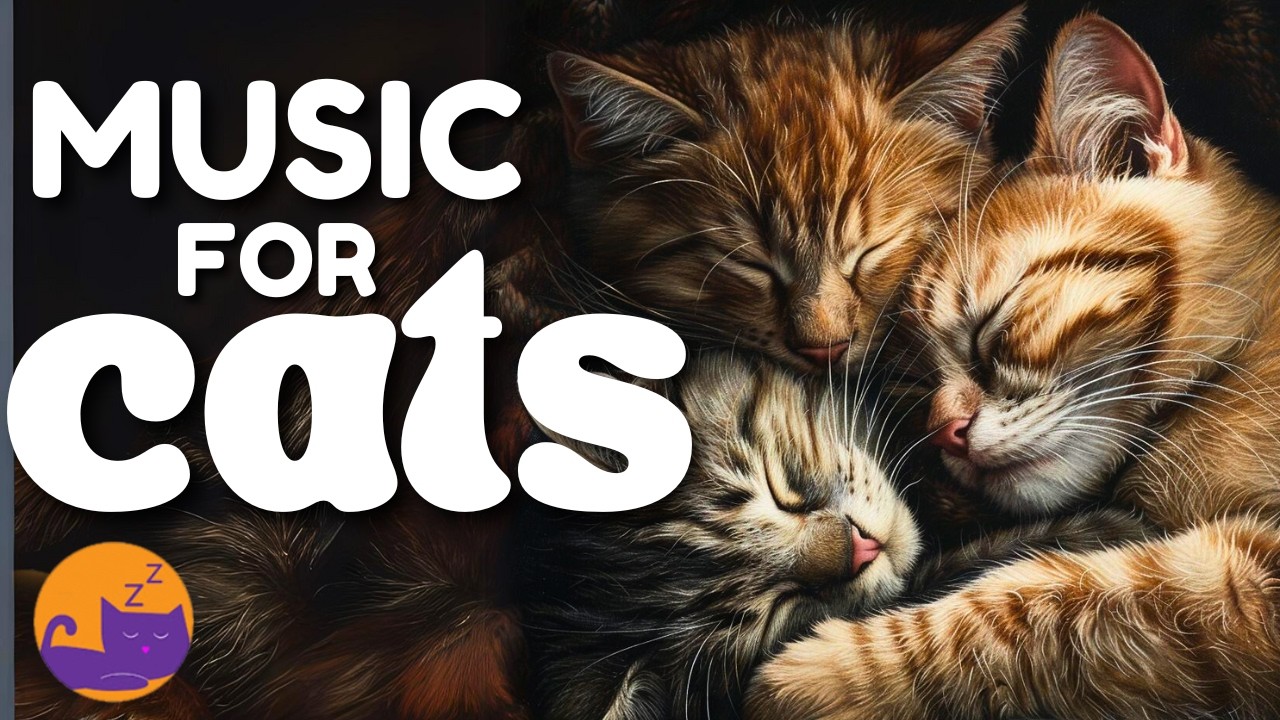Cat Music - 15 Hours of Gentle Melodies for Anxiety - YouTube Music