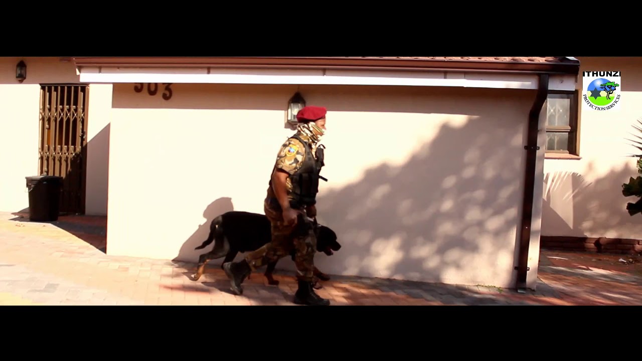Ithunzi Protection Services Dog Response2 - YouTube