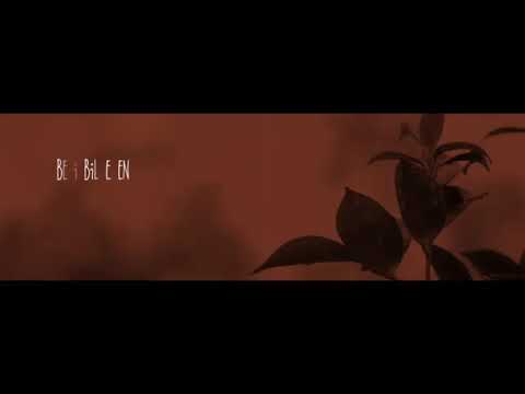 Vay BE, Kenan Dogullu.YENI