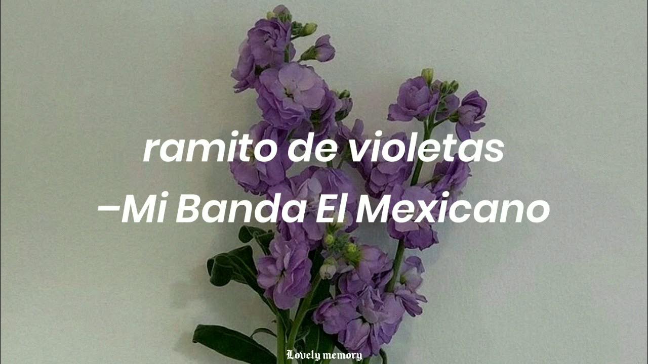 ramito de violetas–Mi banda el Mexicano - YouTube