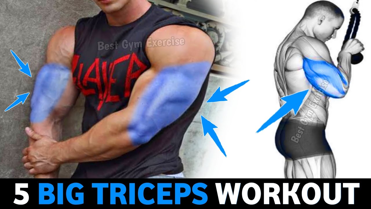 5 Workout to Grow Your Triceps At Gym - Tricep Workout - YouTube