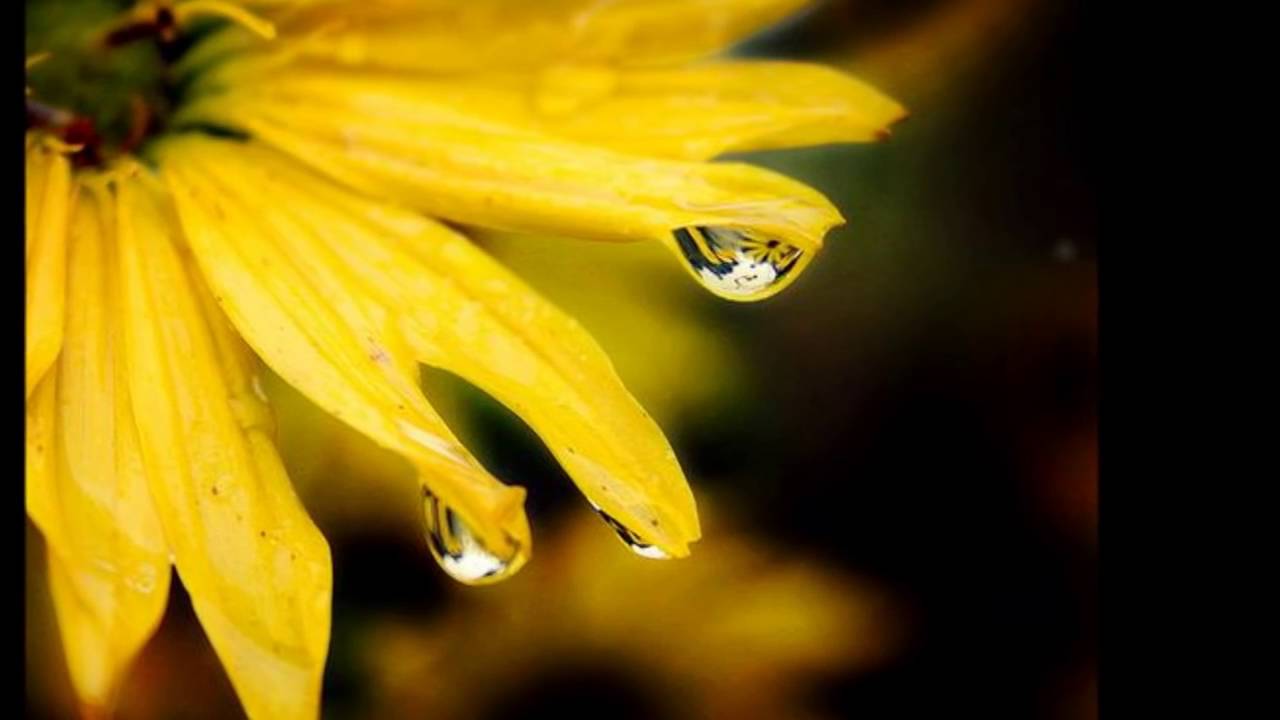 Mantra SAT NARAYAN Claridad Mental Mind cleaning - YouTube