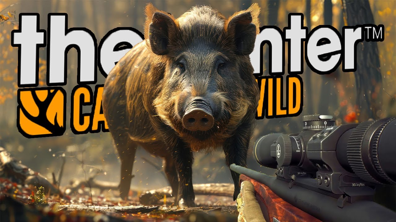 Rare Animals Wild Boar | the hunter call of the wild - YouTube